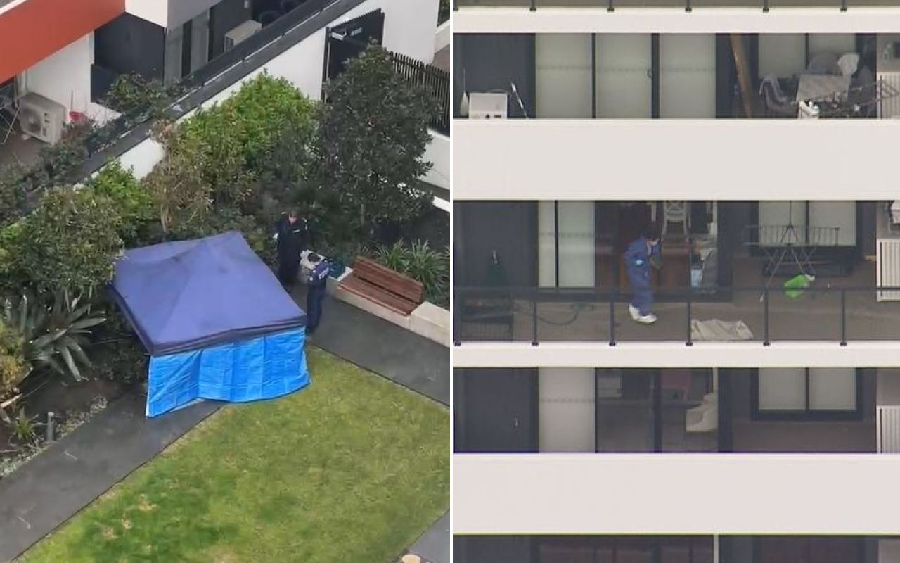 Sydney Chinese international student murder suicide