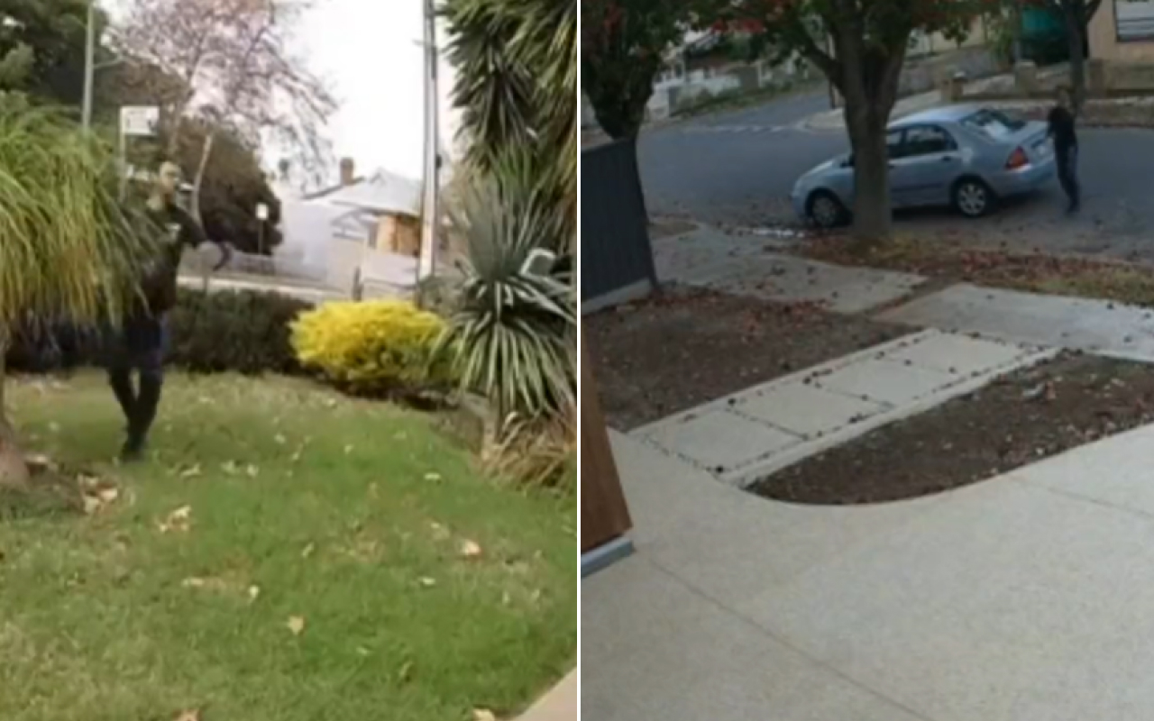 Asian and Indian delivery drivers throw packages in Adelaide