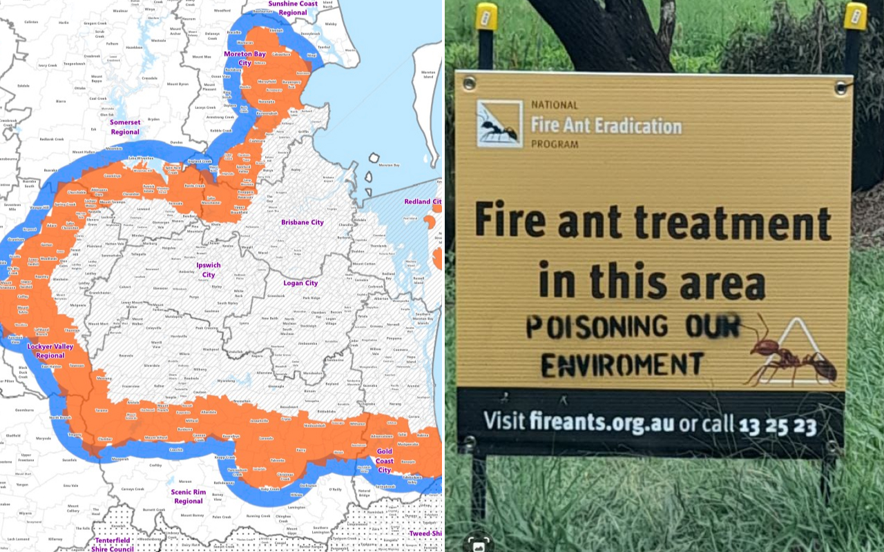 Queensland residents rebel against mass poisoning program