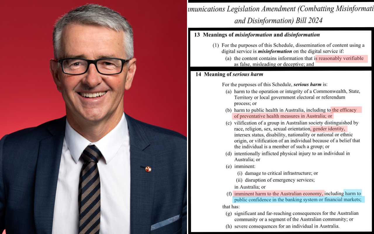 Senator slams misinformation bill for banking censorship