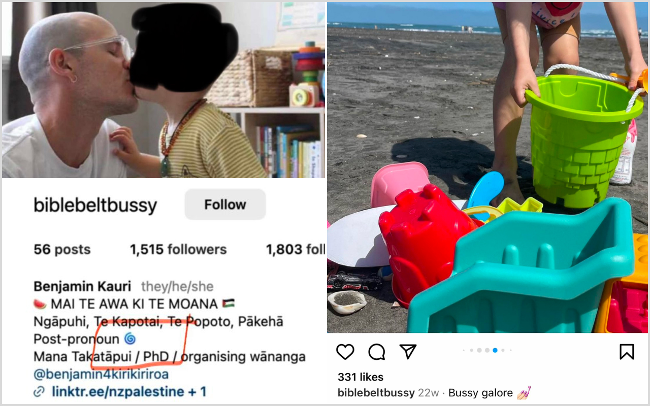 You Might Have Missed Benjamin Doyles Point? | New Zealand Issues Forum