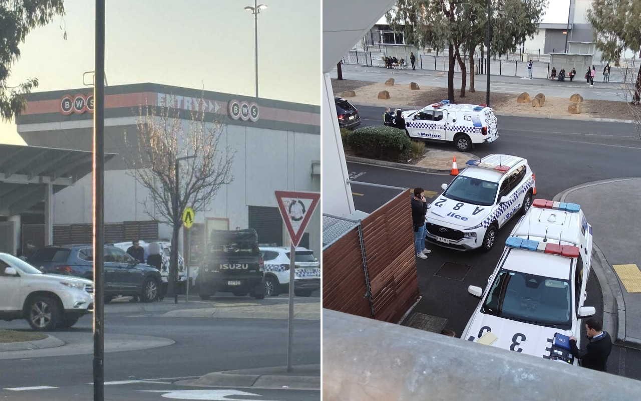 African and Islander gangs fight with machetes in Melbourne