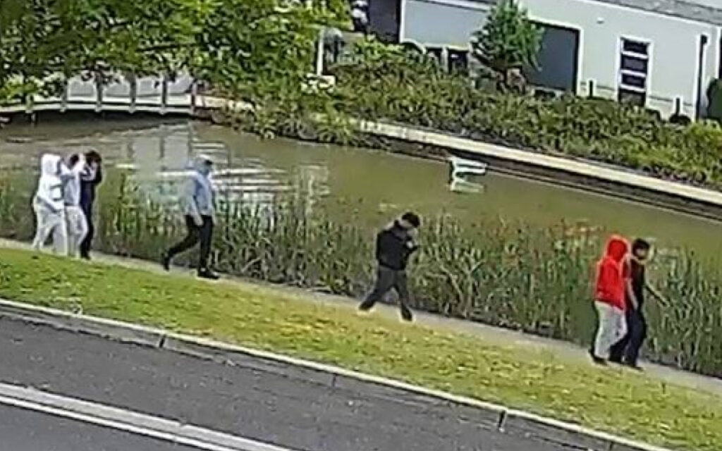 Hunt for Asian gang over machete attack on two brothers