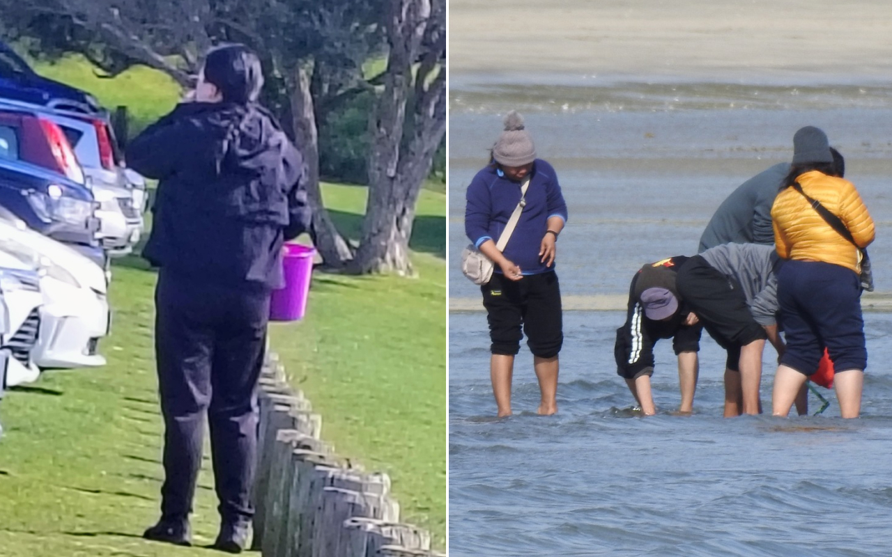 Immigrant 'bucket people' strip rock pools of sea life