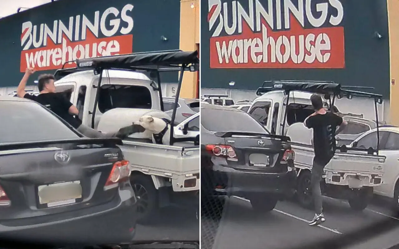 Fury at 'low-life' who kicked dog for barking at him