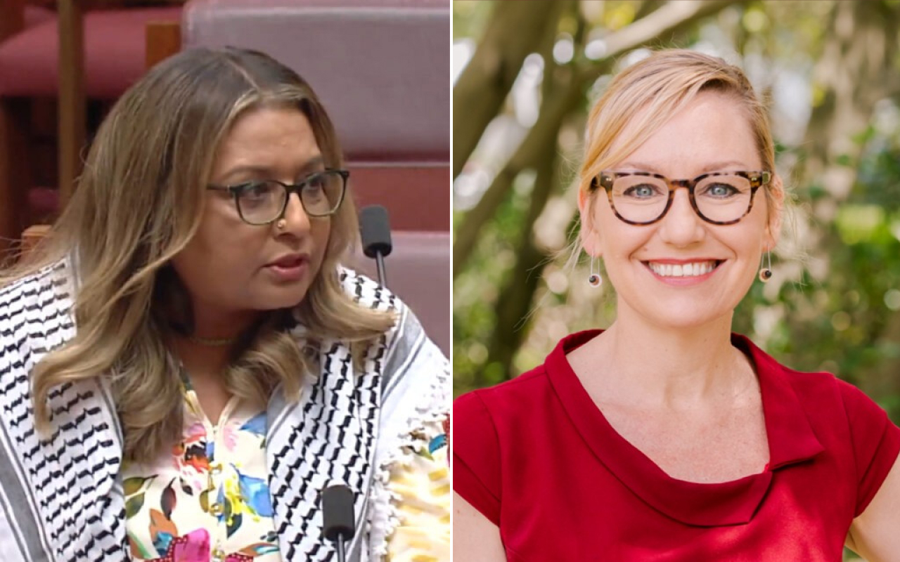 Greens blame 2025 election losses on young men